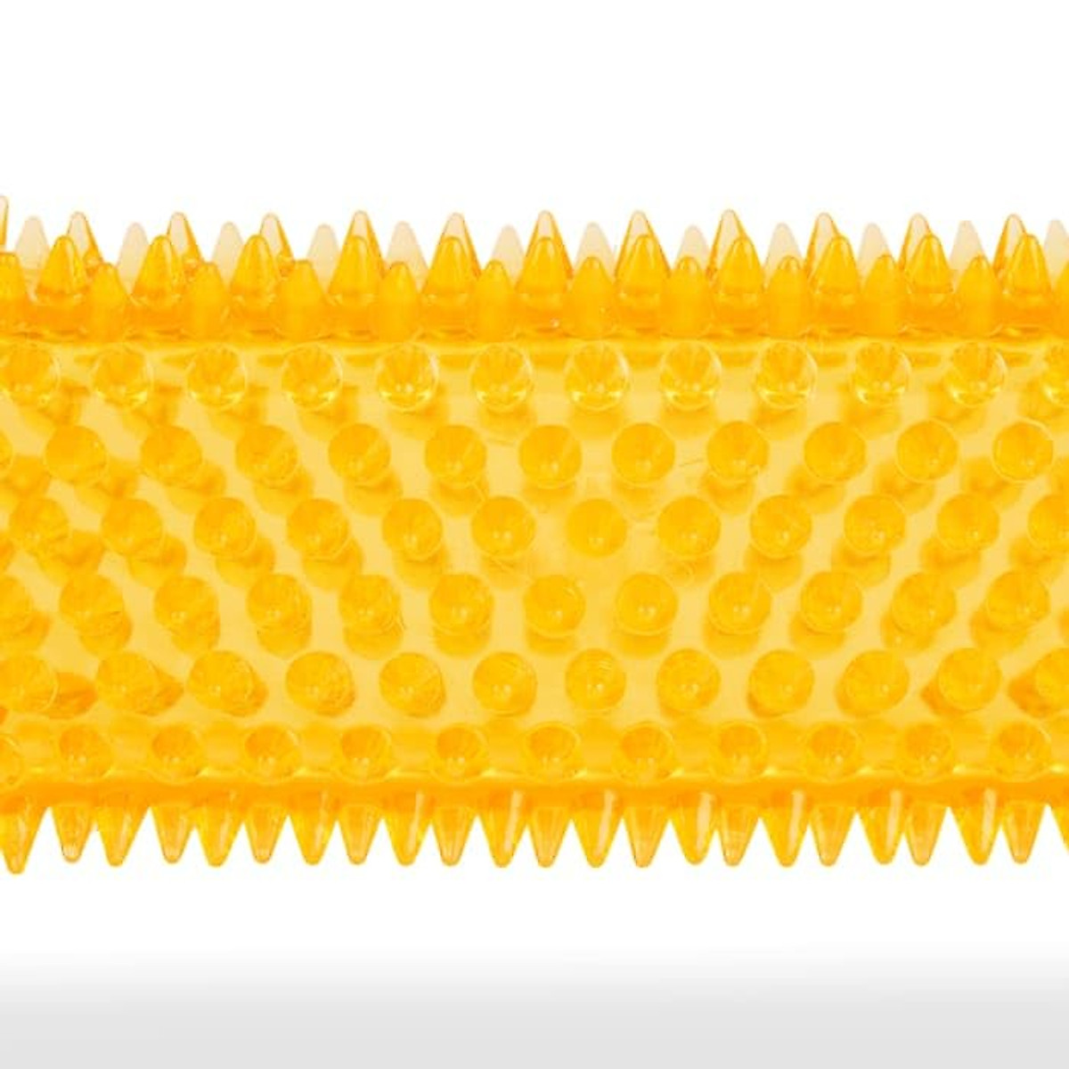 Leaps & Bounds Spiny Bone Assorted Chew Toy for Dogs Large