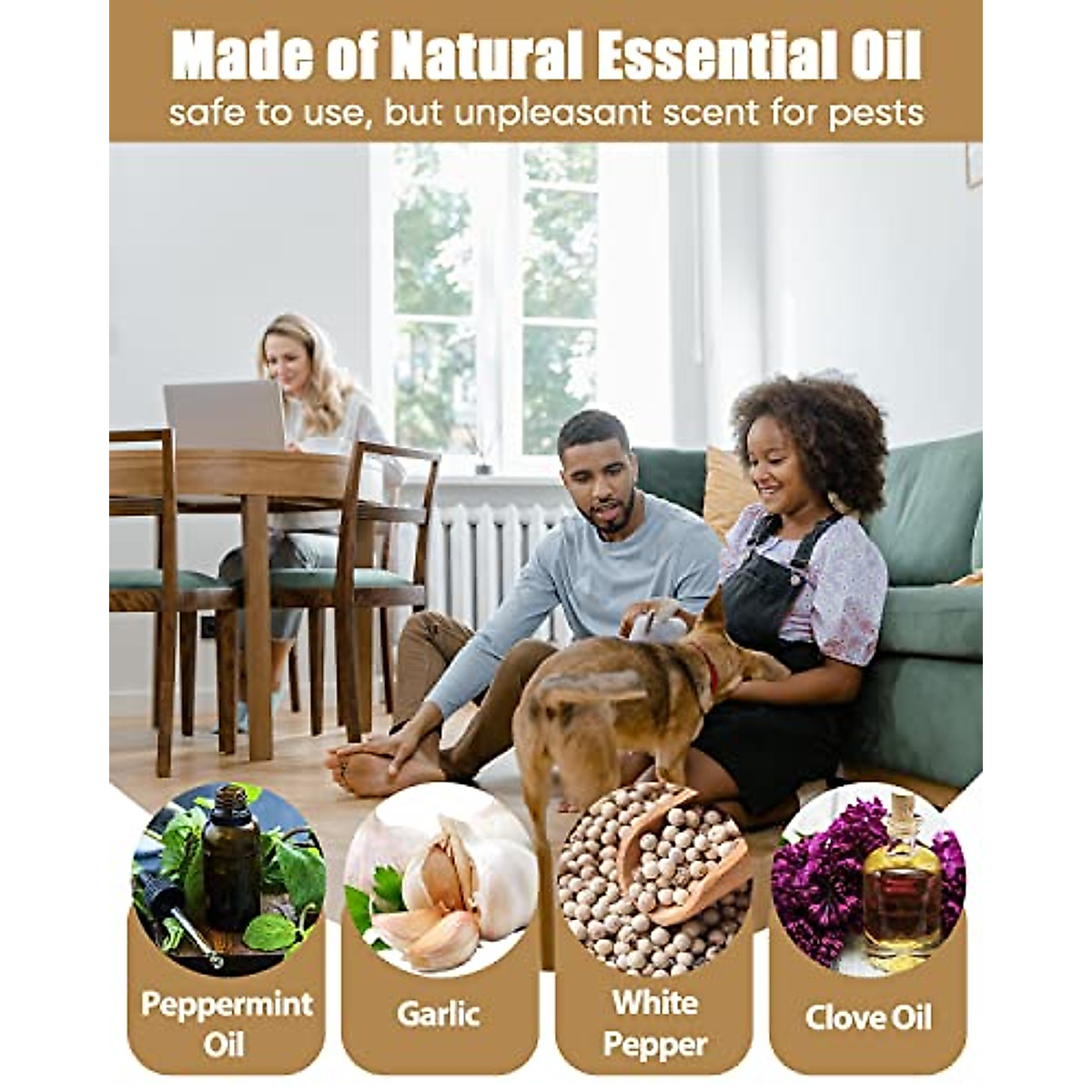 SEEKBIT Squirrel Repellent, Squirrel Deterrent Peppermint Oil to Repels Squirre Mouse Rodent, Natural Squirrel Deterrent Yard Garage, 10 Pack