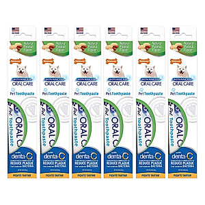 Nylabone Advanced Oral Care Natural Toothpaste