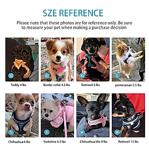 YIMEIS Dog Harness (XS, Blue) for Small Dogs, Lightweight Harness & Leash Set, Adjustable, Reflective, Breathable, 360°Visibility, Playful Style