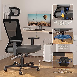Dripex Ergonomic Office Chair, High Back Desk Chair, Computer Mesh Chair with Lumbar Support, Adjustable Headrest & 2D Armrest, 90°-135°Tilt Function, 360° Swivel Home Office Task Chair, Black