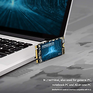 Kingdata 256GB SATA III 6Gb/s M.2 2242 Internal SSD - High-Performance Solid State Drive for Desktop & Laptop - 3D NAND, 580MB/s Read, 547MB/s Write, 20-Year Warranty