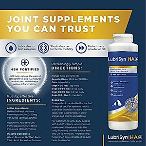 LubriSyn Hyaluronic Acid + MSM Joints Supplement, 16oz: Natural Pure HA Liquid Dog and Cat Joint & Cartilage Support, Relief, and Lubrication for Pets Including Dogs, Cats and Horses, Vegan Formula