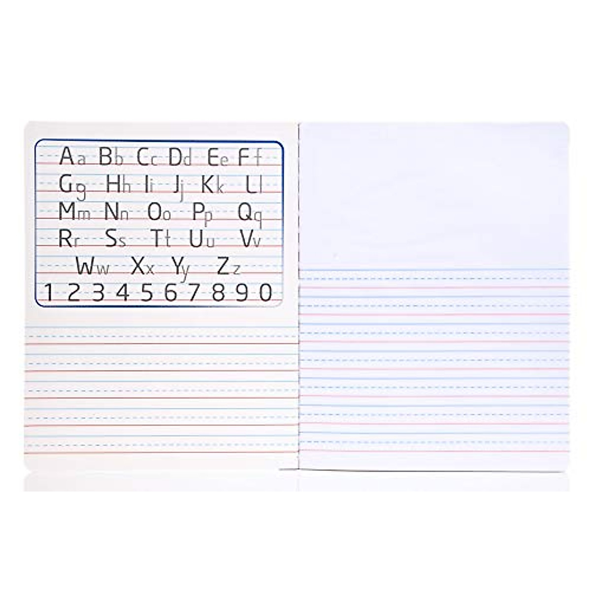 Mintra Office Primary Composition Books (4 Pack, Primary Ruled - Assorted)