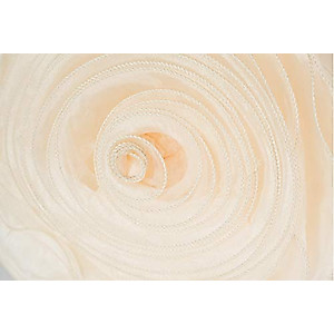 K-Cliffs Ruffled Rose Floral Chiffon Decorative Pillow Throw Round 16", Champagne