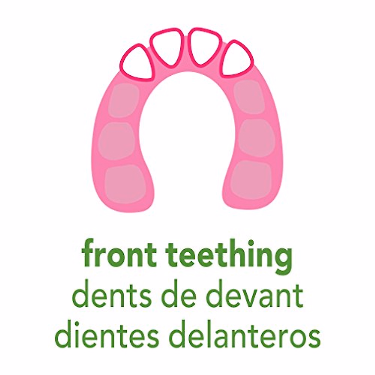 green sprouts Cooling Teether | Soothes Gums & Promotes Healthy Oral Development | Safer Plastic Filled with sterilized Water, Chill for Extra Relief, Textured Surface to Massage Gums