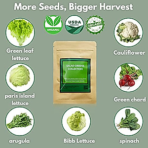 Heirloom Salad Greens Pod with Seed for Aerogarden Harvest, 7-Pods(350 Seeds+, Include Green Leaf Lettuce, Paris Island Lettuce, Buttercrunch Lettuce, Arugula, Broccoli, Green Chard, and Spinach)