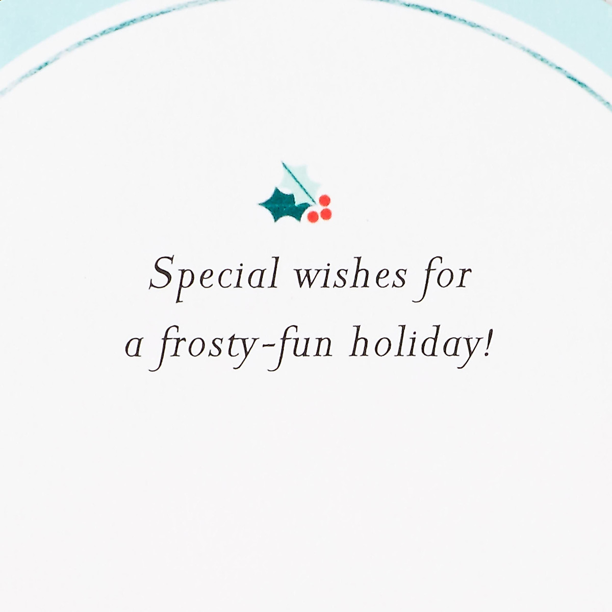 Hallmark Paper Wonder Peanuts Musical Pop Up Christmas Card (Snow Globe, Charlie Brown and Friends)