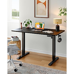 ErGear Whole Piece Standing Desk with 48x30 inch Desktop, Adjustable Stand Up Desk for Home Office, Electric Computer Desk Workstation with Cable Management Tray, Black, EGESD65B