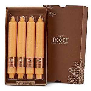 Root Candles Unscented Timberline Collenette 9-Inch Dinner Candles, 4-Count, Mandarin