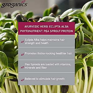 Groganics Hair Gro-N-Wild Hair Dress 6oz