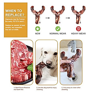 Qsvbeeqj Safe Innocuity Chewing Toy Dentals Toy Breath Freshening Chewing Toy for Chewing and Grasping