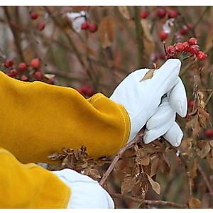 Suse's Kinder Garden Gloves for Women, Thorn Proof Rose Pruning Gloves with Kevlar Lining (Yellow/White, XS)