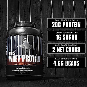 Animal 100% Whey Protein Powder – Whey Blend for Pre- or Post-Workout, Recovery or an Anytime Protein Boost– Low Sugar – Chocolate, 1.8 lb