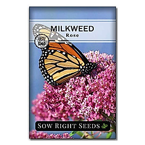 Sow Right Seeds - Milkweed Seed Collection; Varieties Included: Butterfly, Common, and Showy Milkweed, Attracts Monarch and Other Butterflies to Your Garden; Non-GMO Heirloom Seeds;