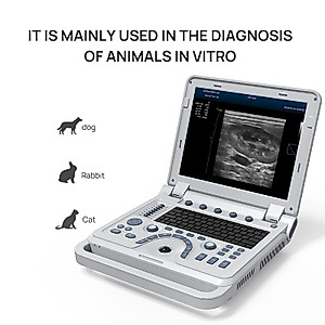 Veterinary B-Ultrasound Scanner with High Resolution and PW Doppler for Animal Horse Equine Goat Dog Rabbit Snake Dolphin Convex & Linear Probe