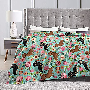 Dachshund Throw Blanket Dachshund Gifts for Girls Dogs Blanket for Kids Adults Super Soft Warm Plush Fleece Flannel Blanket for Sofa Couch Bed 40"x50"