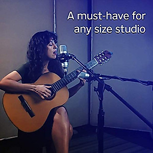 Tascam TM-80 Large Diaphagm Condenser Microphone,Silver