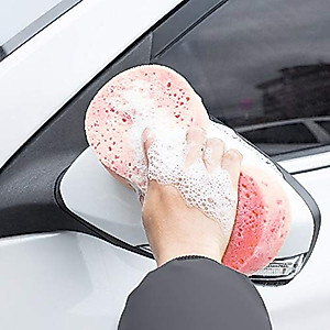 VORCOOL 5 Pcs Car Wash Sponges Bone Design for Polishing Porous Car Wash Sponges