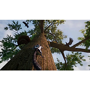 Away: The Survival Series (PS4)