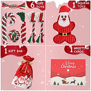 HPETHF Puppy Teething Chew Toys for Small Dog, Puppy Teething Rings Rope Cute Rubber Toy Interactive Chewers Relieve Itching Treat Ball Clean Teeth Toy 6 Pack (9 Pack)