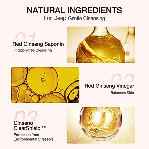 Donginbi Red Ginseng Cleansing Dust-free travel Kit- 20ml Cleansing oil & 15ml Cleansing foam