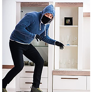 Conceal-a-Cam Home Security Camera Enclosure - Finished Woodgrain