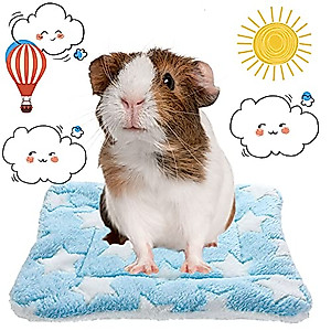 4 Pieces Rabbit Guinea Pig Bed Mats Soft Plush Bunny Pad Mats Small Animal Dog Cat Bed Dog Crate Kennel Pad Mat Hamster Cozy Dog Bed Mat for Small Animal (Big Twinkle, 10 x 11 Inch)