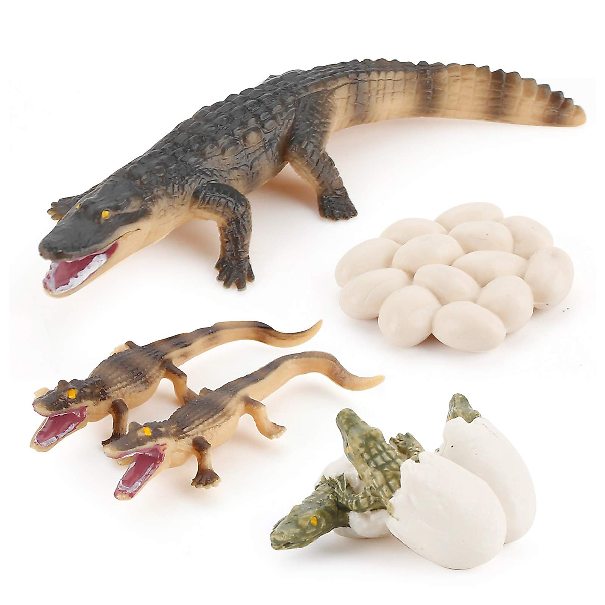Fantarea 4 PCS Wild Wildlife Animal Figures Creatures Action Models Life Cycle Crocodile Alligator Figure Ornament Cake Toppers Party Favors Supplies Cognitive Toy for Boys Girls Kids