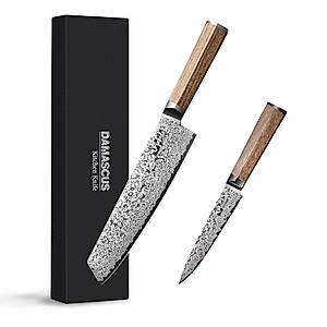 Damascus Chef Knife 8 inch Kiritsuke, Kitchen Utility Paring Knife 5 inch 67-Layer Damascus VG10 Steel Ultra Sharp Professional Kitchen Knife with Hexagon Natural Wood Handle