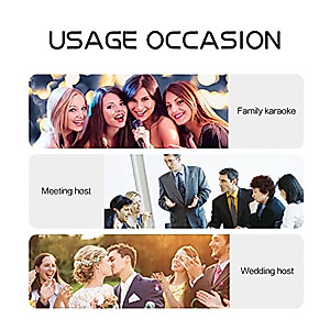 D Debra Audio VM302 VHF Wireless Microphone System with Dual Handheld Mic Have XLR Interface for Home Karaoke Wedding Conference Speech (VM302)