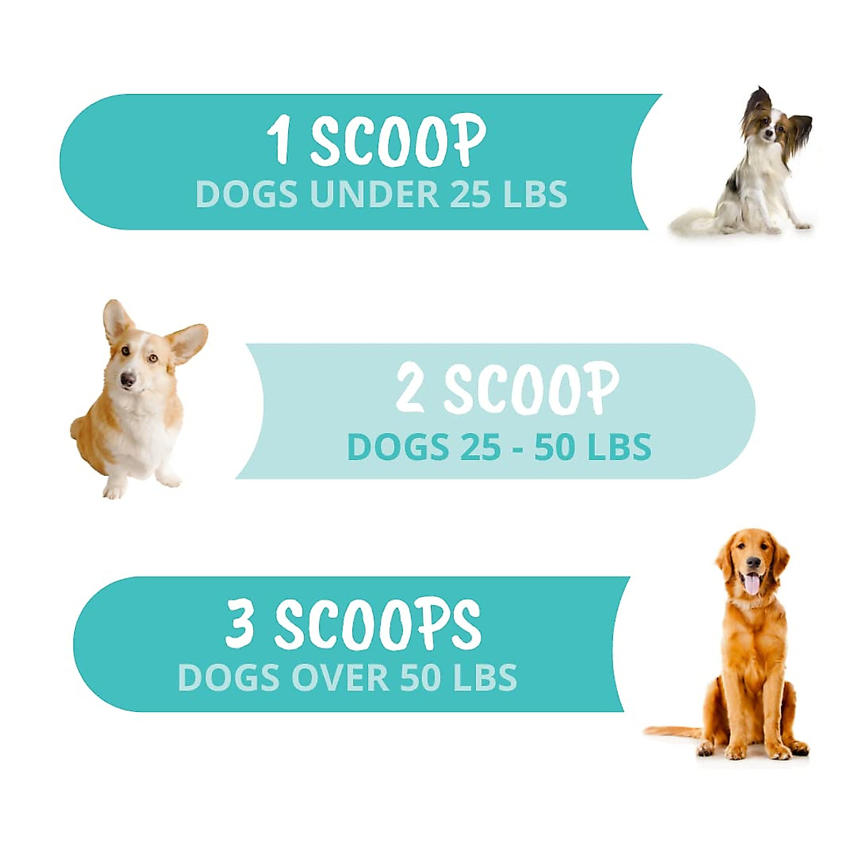 Under The Weather Pet Probiotic Powder for Dogs | Vet Formulated Dog Probiotics Supplement Filled with Good Bacteria | Promotes Healthy Digestion, Appetite, and Strong Immune System| 120 Servings