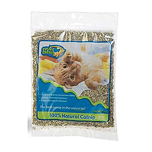 Weruva Cats in The Kitchen, Pantry Party Pouch Variety Pack in Gravy Cat Food, 3oz Pouch (Pack of 12)