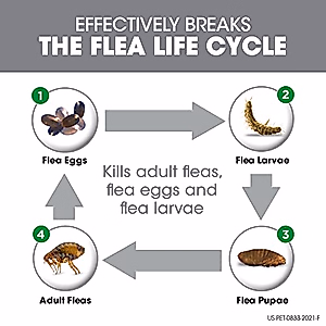 FRONTLINE Plus For Cats and Kittens Flea and Tick Treatment, 3 Doses