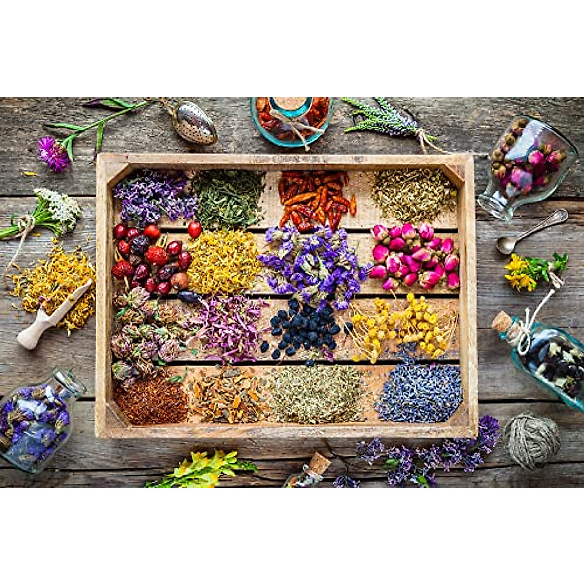 Essential Oils Garden Seed Kit - Grow Peppermint, Tea Tree, Lavender, Eucalyptus, Lemongrass, Orange
