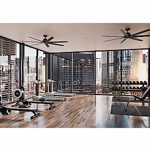 Hunter Fan Company 51592 Downtown Ceiling Fan, Matte Black, AAA