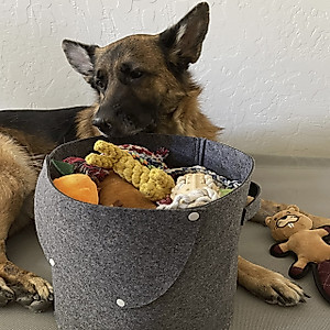Jalousie Dog Toy Storage Basket Dog Toy Bin with Handle - Heavy Duty Thick Felt Extra Bonus Squeaky Dog Toy Included - Perfect for Organizing Pet Toys and Accessories Puppy Toy Storage for Easy Assess