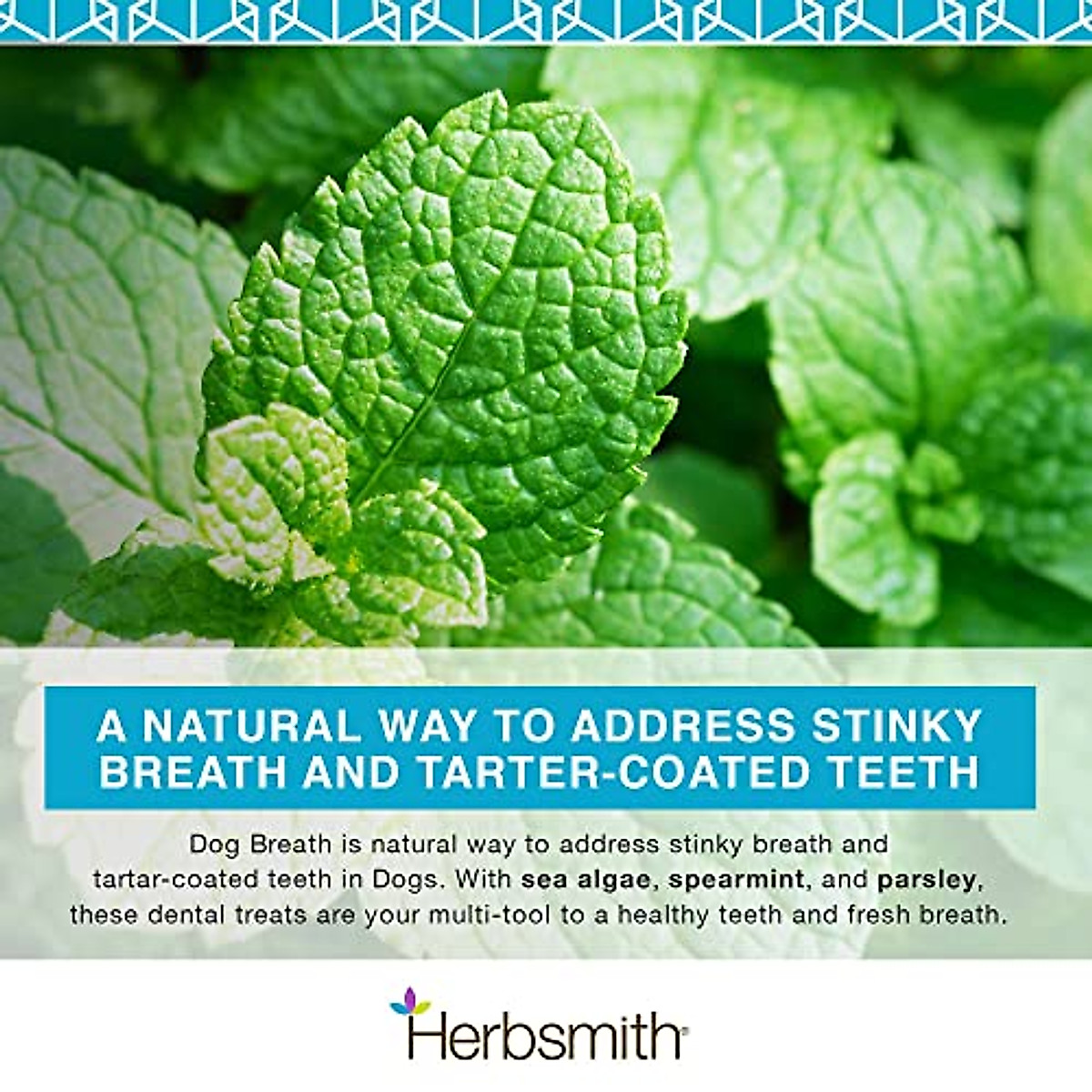Herbsmith Dog Breath - Dog Dental Care Solution - Natural Dog Breath Freshener That Tackles Tartar - Dental Powder for Dogs - 150g Powder