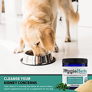 Kidney Revive - 100% Herbal Dog Kidney Health Healing Supplement for Acute and Chronic Ailments by Doggie Herbs