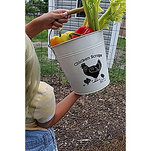 Chicken Scraps Bucket to collect your leftover food to feed your hens, roosters, feathered ladies, chicken friends chicks, free-ranged chickens, roos, or whatever you call your chickens (Chicken)