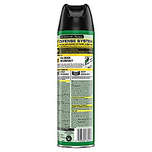 Raid House and Garden Aerosol, 11 OZ Pack of 4