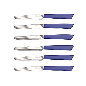 Tredoni 6 kitchen Knives - 4.3"/11cm Italian Stainless Steel Serrated Vegetable/Steak/Table Knife Cutlery, Rounded Tip (Blue)