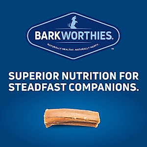 Barkworthies Protein-Rich Bully Stick Bites (10oz. Bag) - All-Natural Rawhide Alternative - Easily digestible Dog Treat - Promotes Dental Health