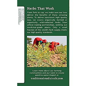 Traditional Medicinals Organic Fennel Herbal Tea, Promotes Digestive Health, (Pack of 4) - 64 Tea Bags Total