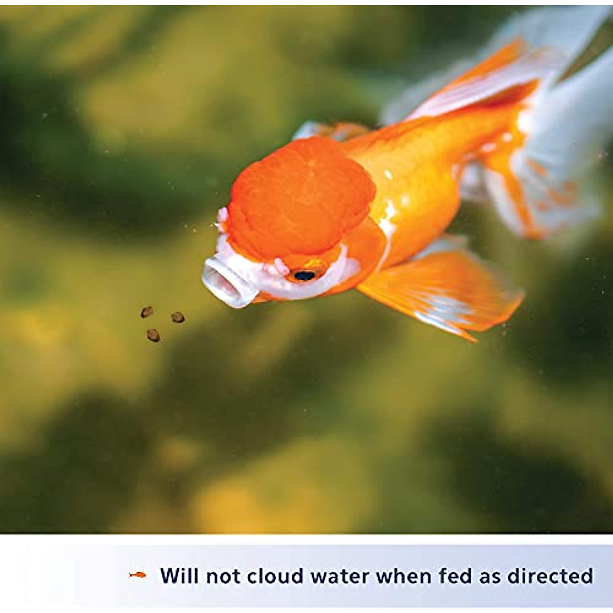 Aqueon (3 Pack) Goldfish Granules, 5.8-Ounce Each