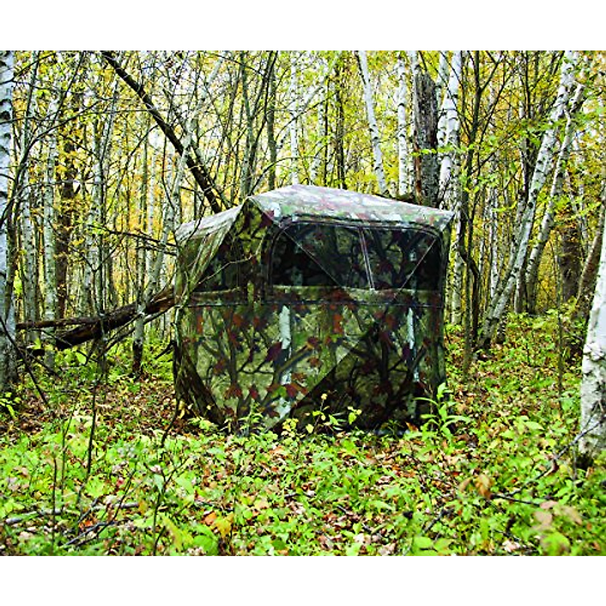 Barronett Blinds GR251BT Grounder 250 Pop Up Portable 2 Person Blind, Bloodtrail Woodland Camo