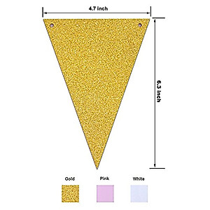 Glittery Paper Pennant Banner Triangle Flags Bunting 8.5 Feet and Tissue Paper Tassels Garland 15 pcs for Birthday Party, Wedding, Bridal Shower Decorations, Glittery Gold+Pink+White