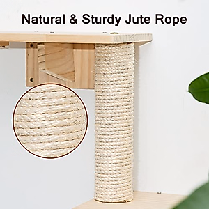 Cat Wall Shelves, Cat Shelves and Perches for Wall, Cat Wall Furniture Set 5 PCS Cat Wall Mounted with 1 Cat Condos House, 2 Cat Wall Shelves, 1 Cat Sisal Scratching Post, 1 Ladder