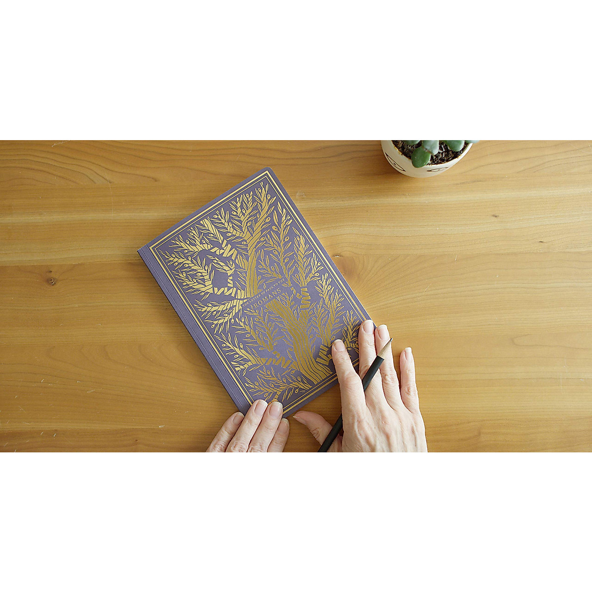 ESV Illuminated Scripture Journal: New Testament Set