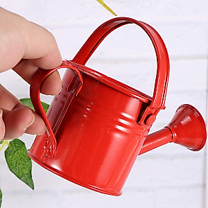 DOITOOL Metal Watering Can, 2Pcs Kids Watering Cans, Iron Watering Kettle Small Watering Pot for Home Office Indoor Outdoor Succulents, Potted Flowers, Bonsai Plants (Red and Light Blue)